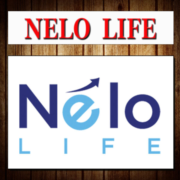 Network Marketing Programs – The Office Annex
